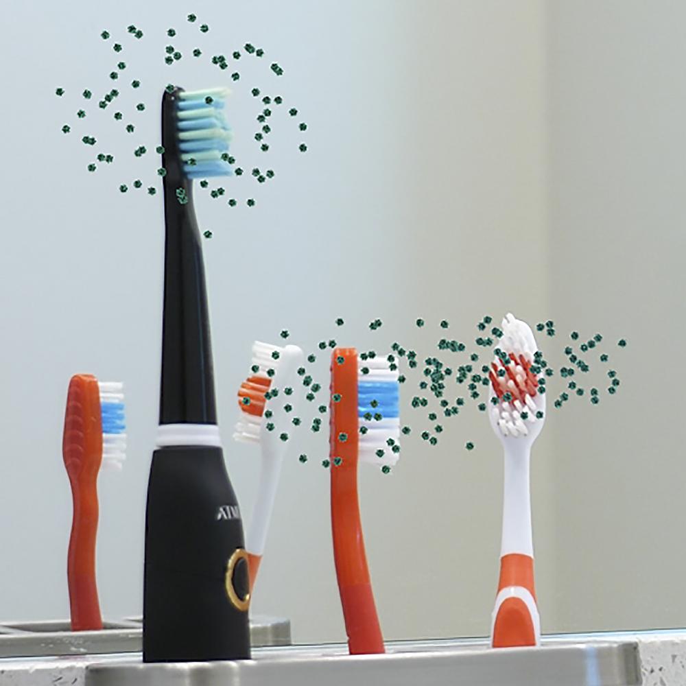 Bril Review and Opinions, Features and Advantages